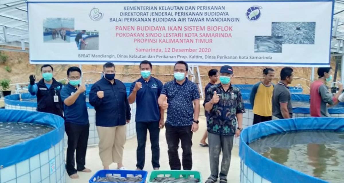 Budidaya Ikan Sistem Bioflok, Peluang Usaha di tengah Pandemi - Laman 2 ...